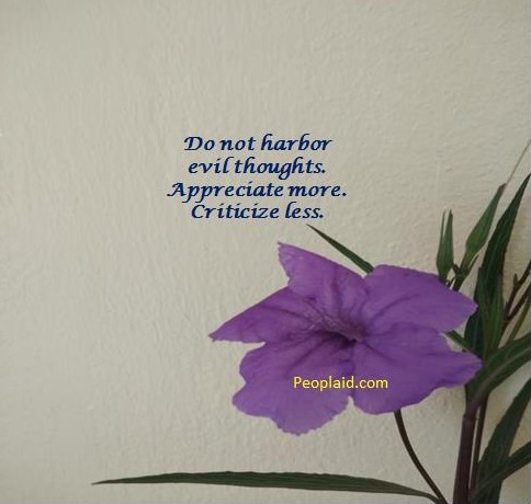 Matthew 9:1-8 Reflection on the Healing of the Paralytic