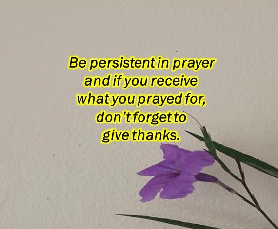 Luke 18:35-43 Reflection: Persistence in Prayer